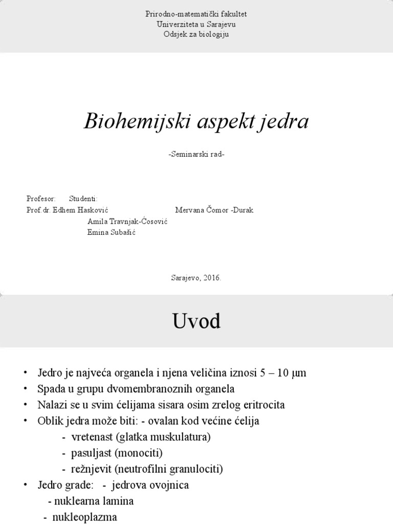 Jedro-Dopunjena Verzija | PDF