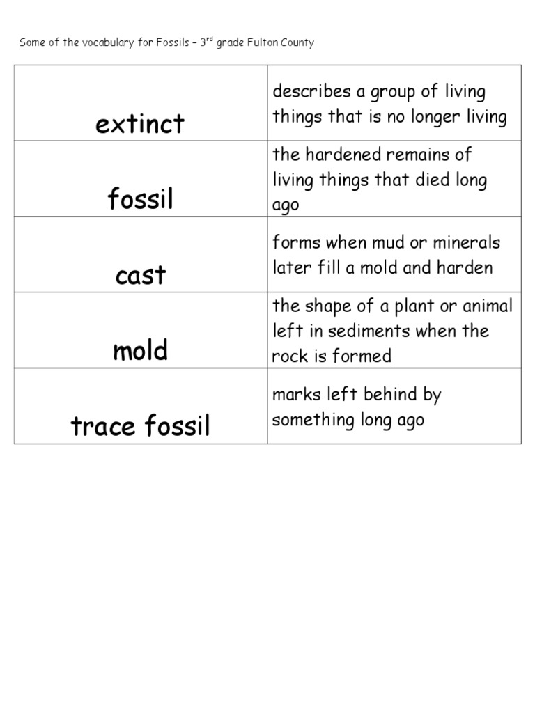 Fossil Vocabulary for 3rd Graders | PDF | Mud | Fossil