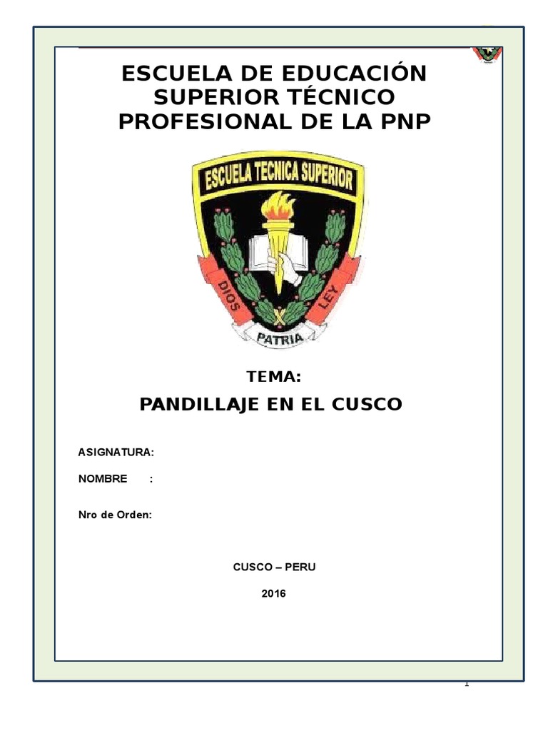 Pandillaje en Cusco: Causas y Soluciones | PDF | La delincuencia ...