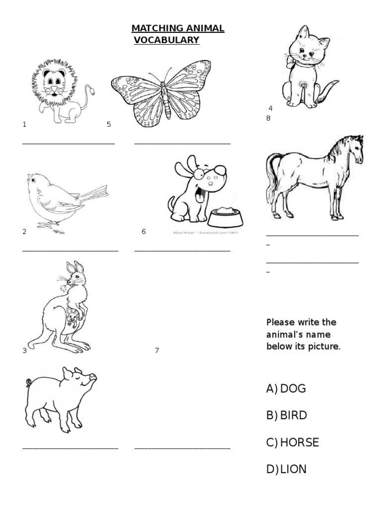 Matching Animal Vocabulary: A) Dog B) Bird C) Horse D) Lion | PDF