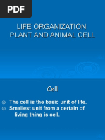 Cells Cheat Sheet | PDF | Cell (Biology) | Endoplasmic Reticulum