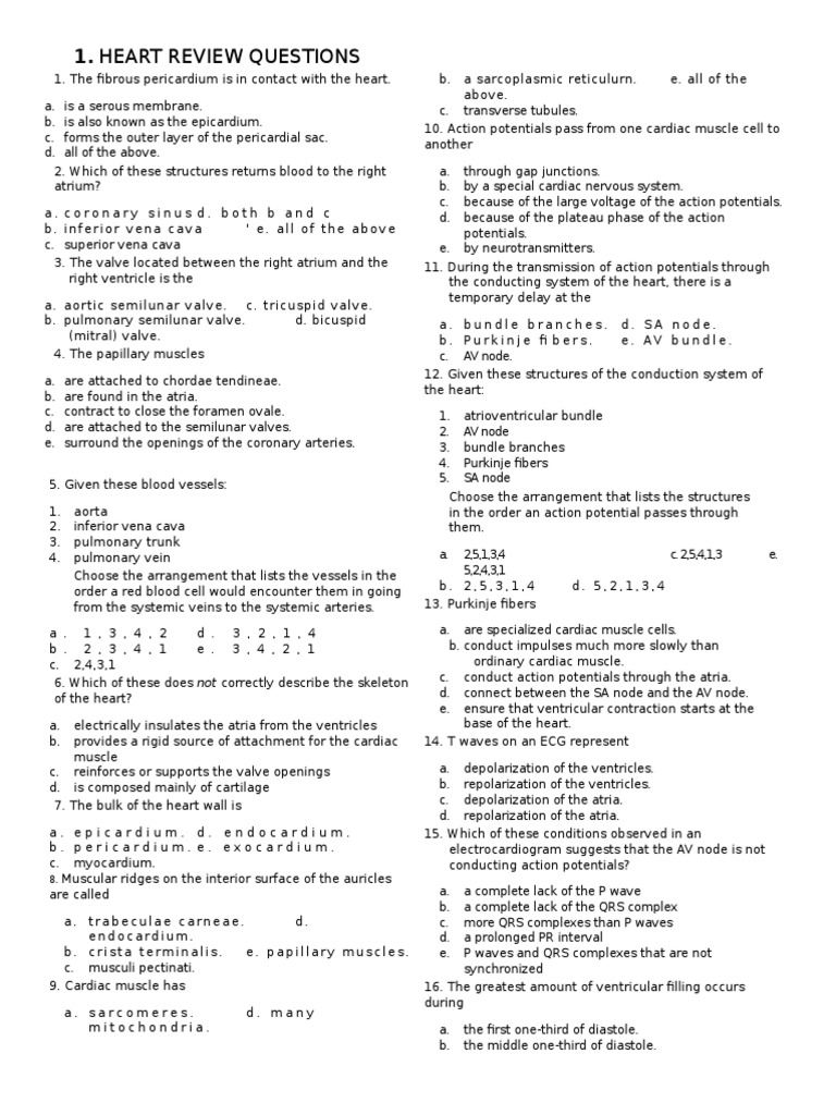 Heart Review Question1 | PDF | Heart | Heart Valve