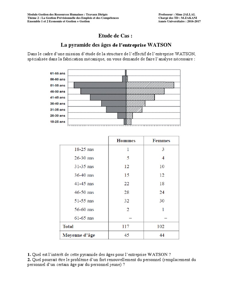 Pyramide Des Ages | PDF