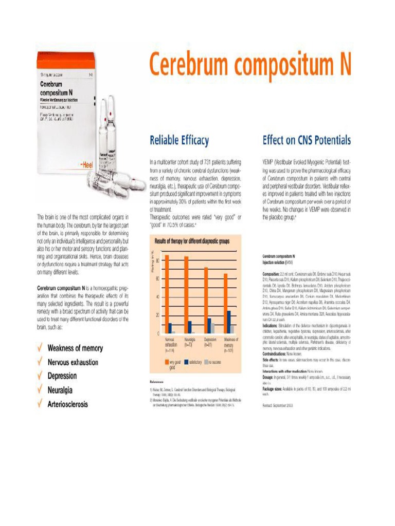 Cerebrum | PDF