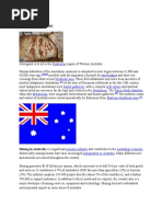 BHP Billiton Mining Locations Overview | PDF | Iron Ore | Mining