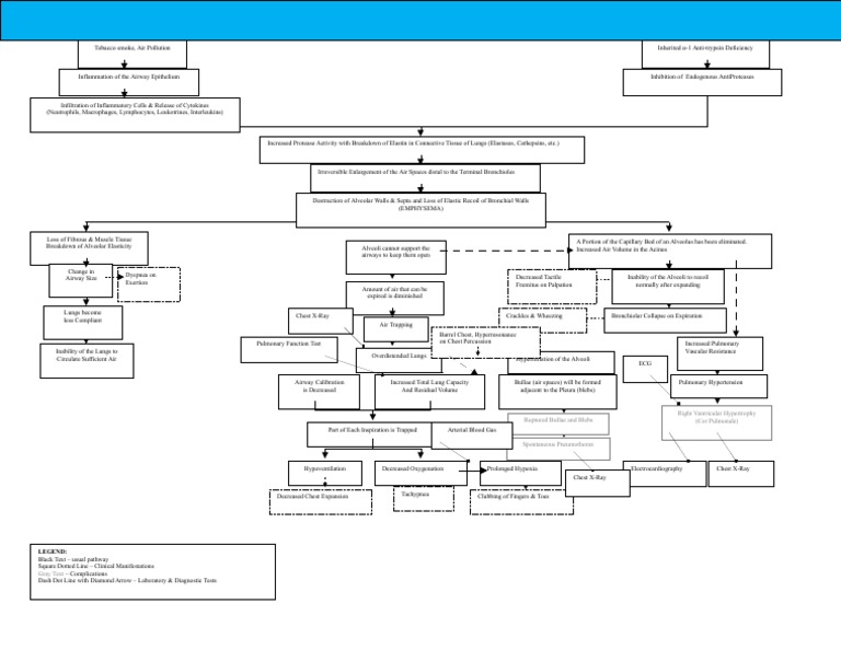 Pathophysiology Emphysema | Respiratory Tract | Lung