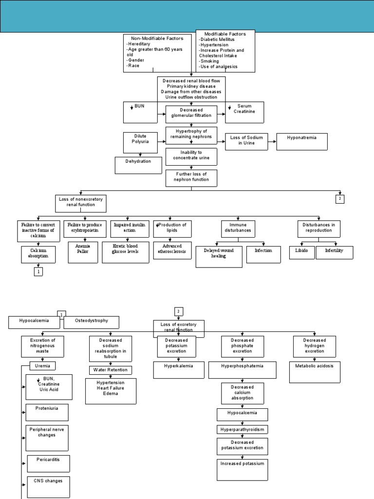 Chronic Kidney Disease Pathophysiology Schematic Diagram | PDF | Kidney ...