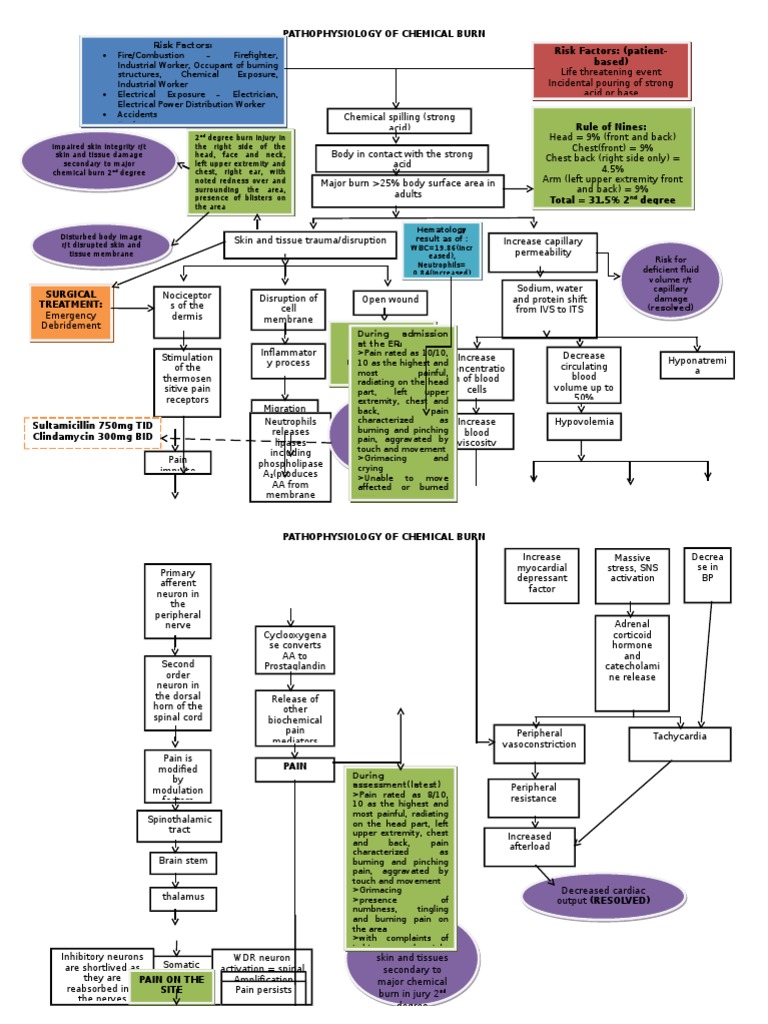 Pathophysiology of Chemical Burn | Pain | Burn