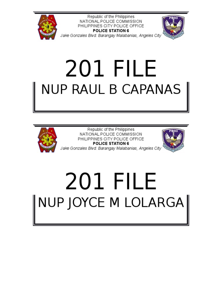 201 File Title Folder | PDF | Criminal Justice | Crime & Violence