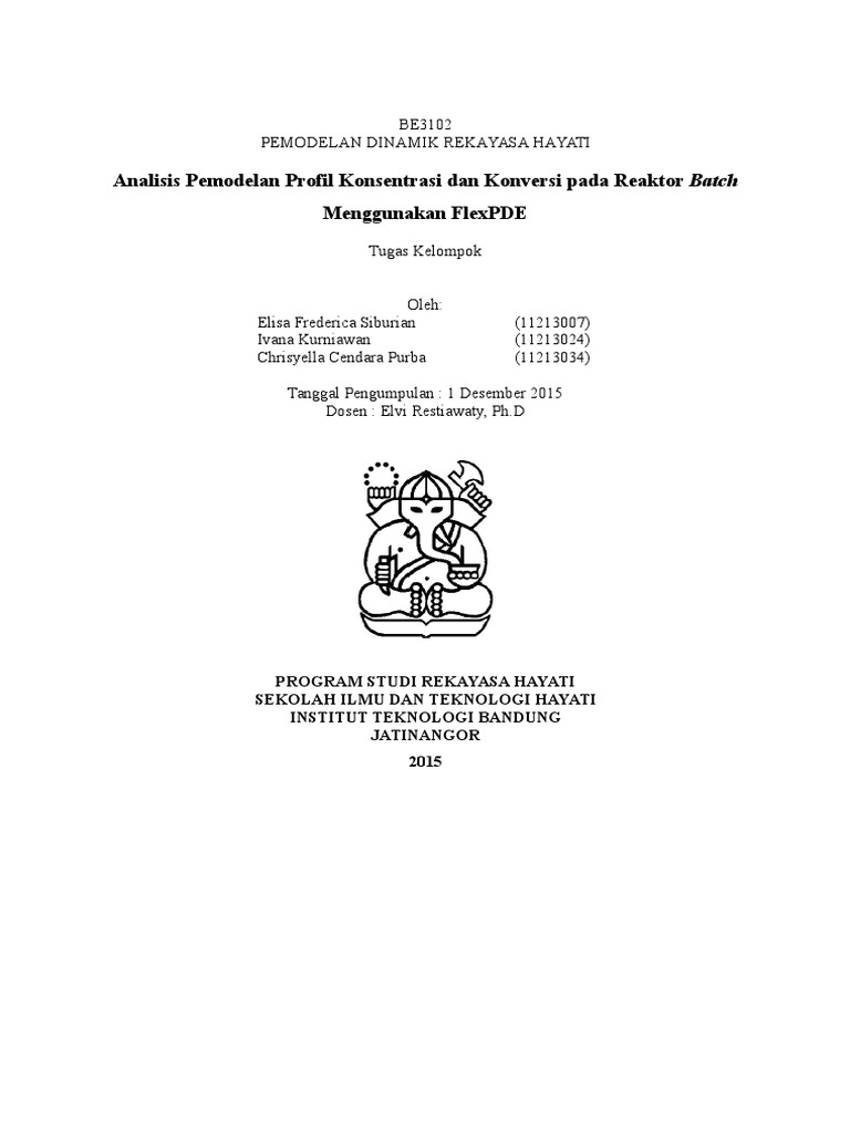 Tugas Pemodelan FlexPDE | PDF