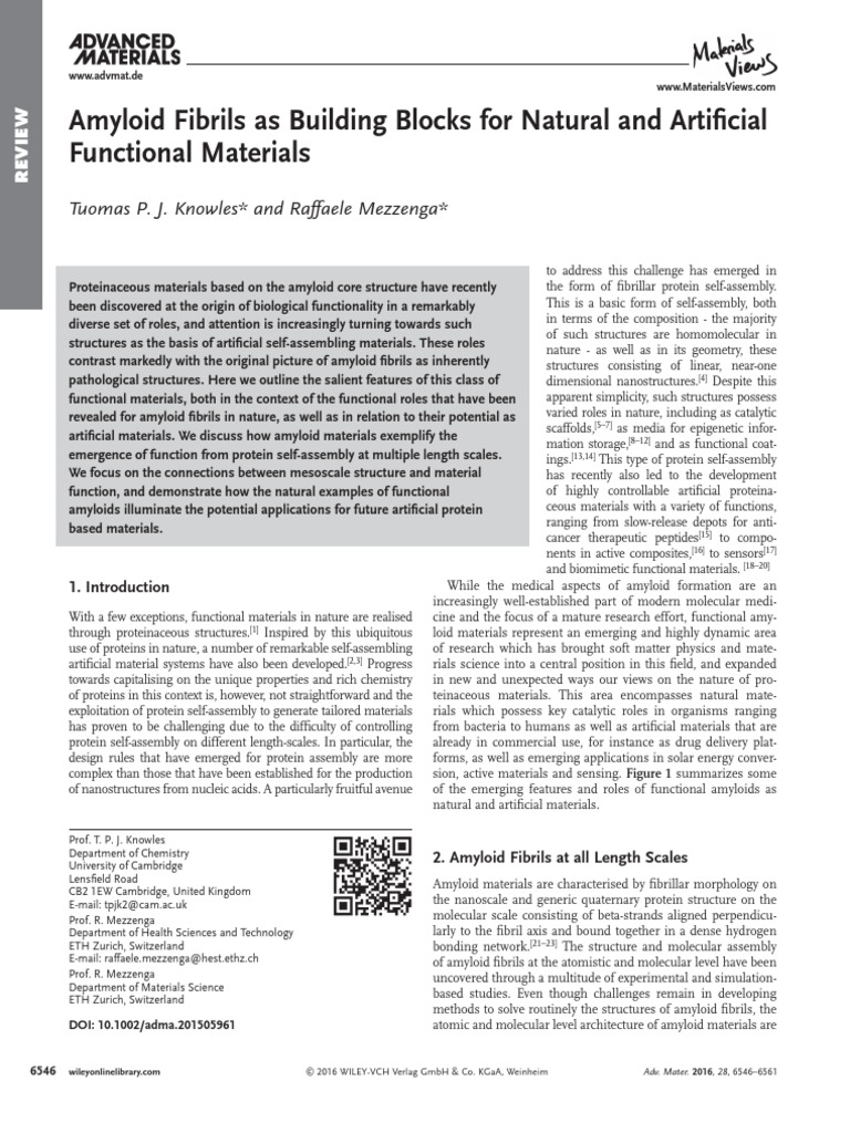 Amyloid Fibrils As Building Blocks For Natural and Artifi Cial ...