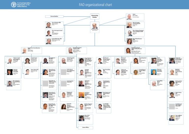FAO Organizational Structure Overview | PDF | Food And Agriculture ...