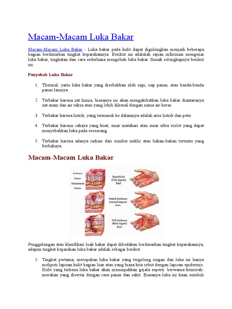 Macam Luka Bakar | PDF