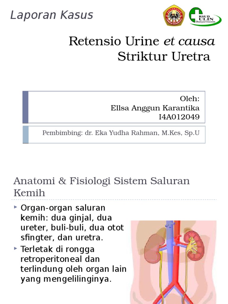 Retensio Urine Et Causa Striktur Uretra | PDF
