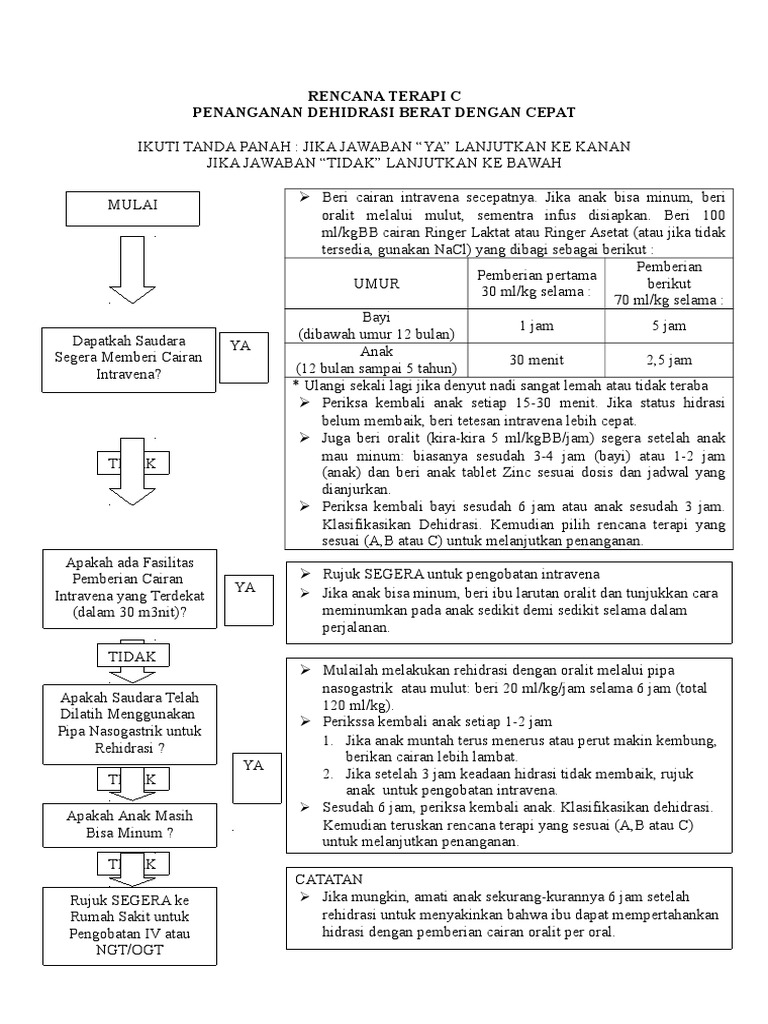 Rencana Terapi Dehidrasi Anak | PDF