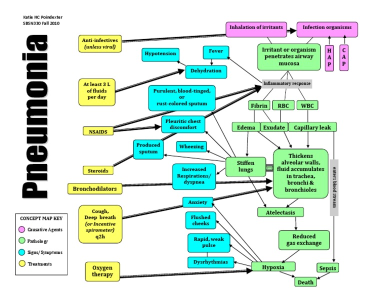 Pneumonia Concept Map | PDF | Clinical Medicine | Respiratory System