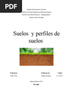Suelos Fluvisoles: Importancia y Uso | PDF | Suelo | Riego