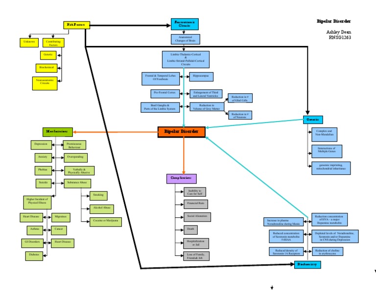 Bipolar Disorder Concept Map | Download Free PDF | Serotonin | Bipolar ...