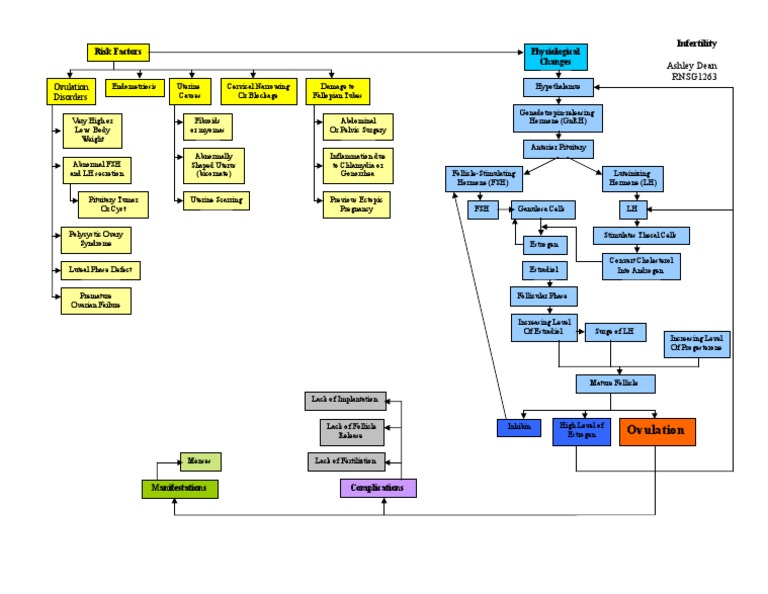 Infertility Concept Map | PDF | Luteinizing Hormone | Endocrine System