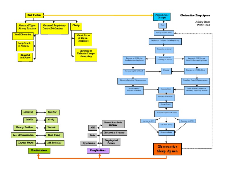 21993600 Sleep Apnea Concept Map | Sleep Apnea | Apnea