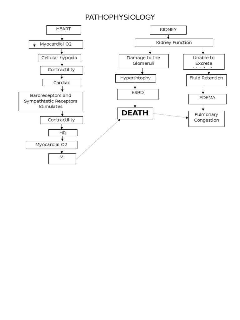 ESRD Pathophysiology | PDF