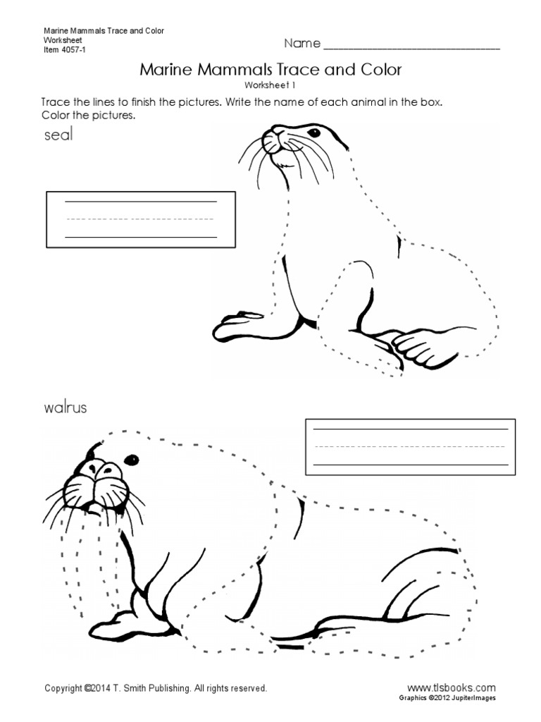 Marine Mammals Trace Color PDF | PDF