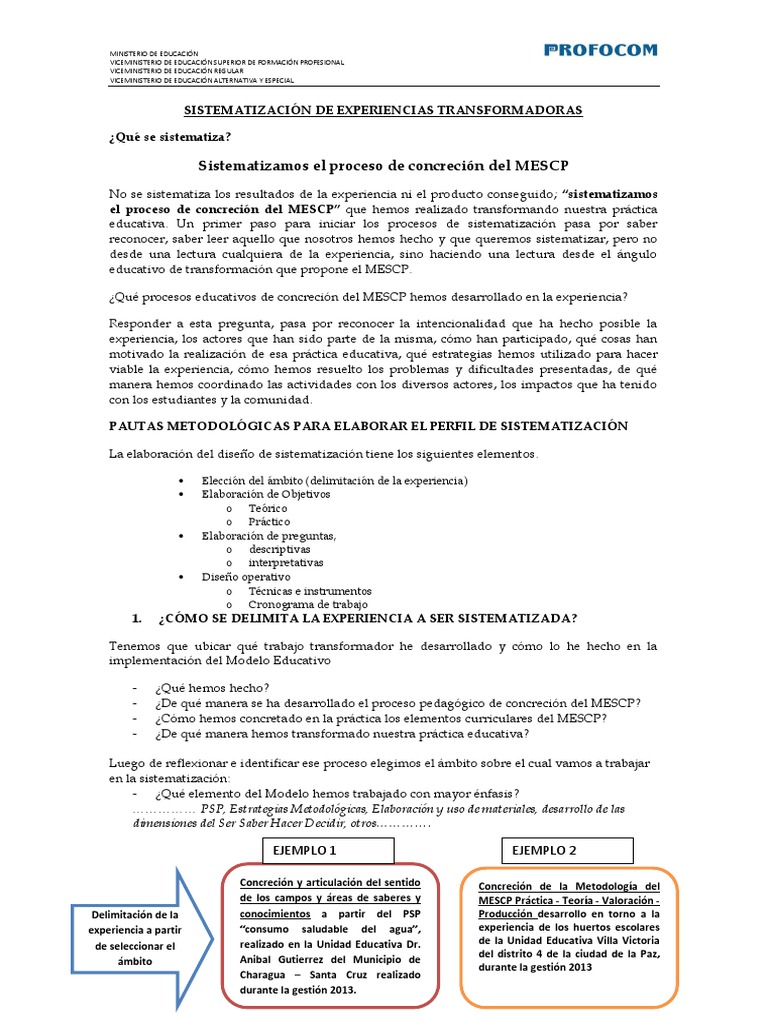 Pautas para Elaborar El Perfil de Sistematización | PDF | Diseño | Teoría