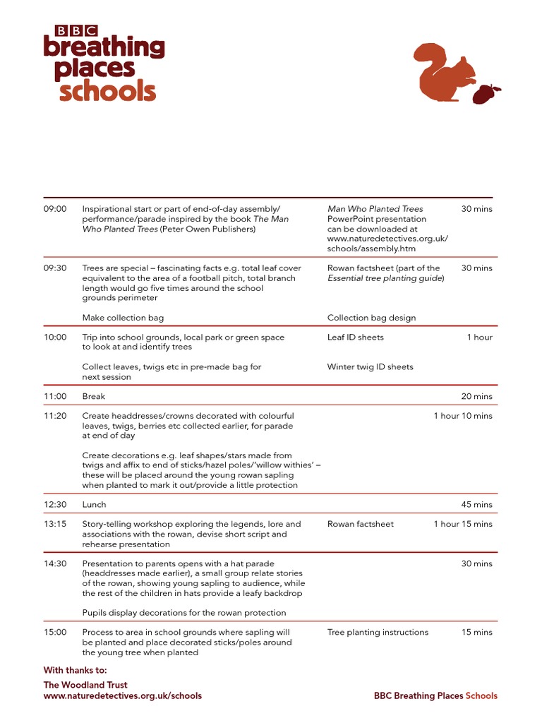 Activity tree day.pdf | Trees | Plants