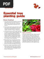 NJUG Tree Protection Guidelines 2025 | PDF | Trees | Root
