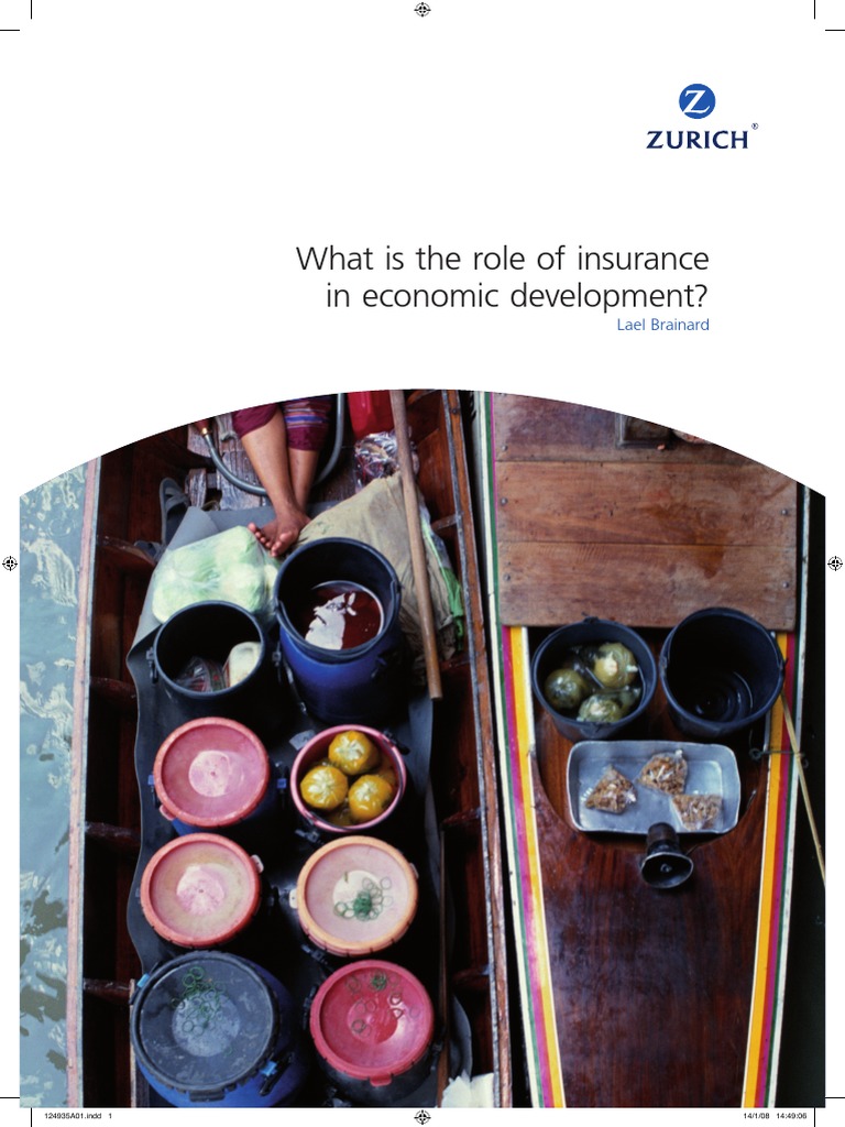 What Is The Role of Insurance in Economic Development?: Lael Brainard ...