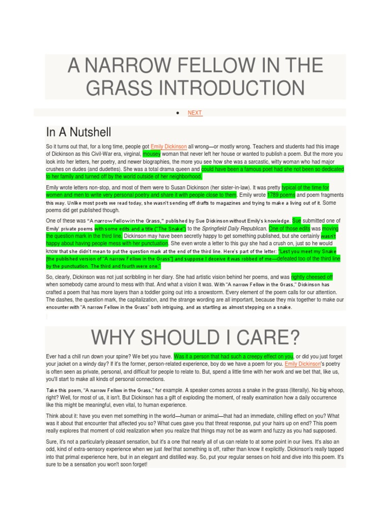 A Narrow Fellow in the Grass | Metre (Poetry) | Emily Dickinson