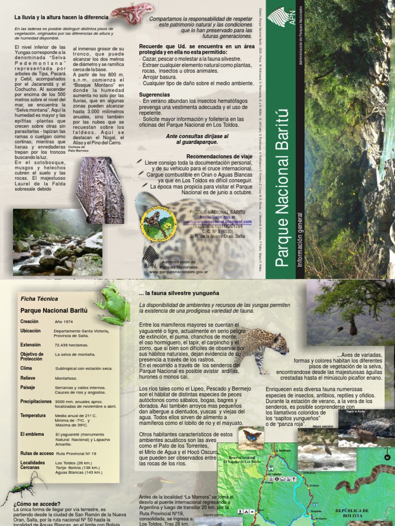 Parque Nacional Baritú: Guía Informativa | PDF | Selva | Conservación