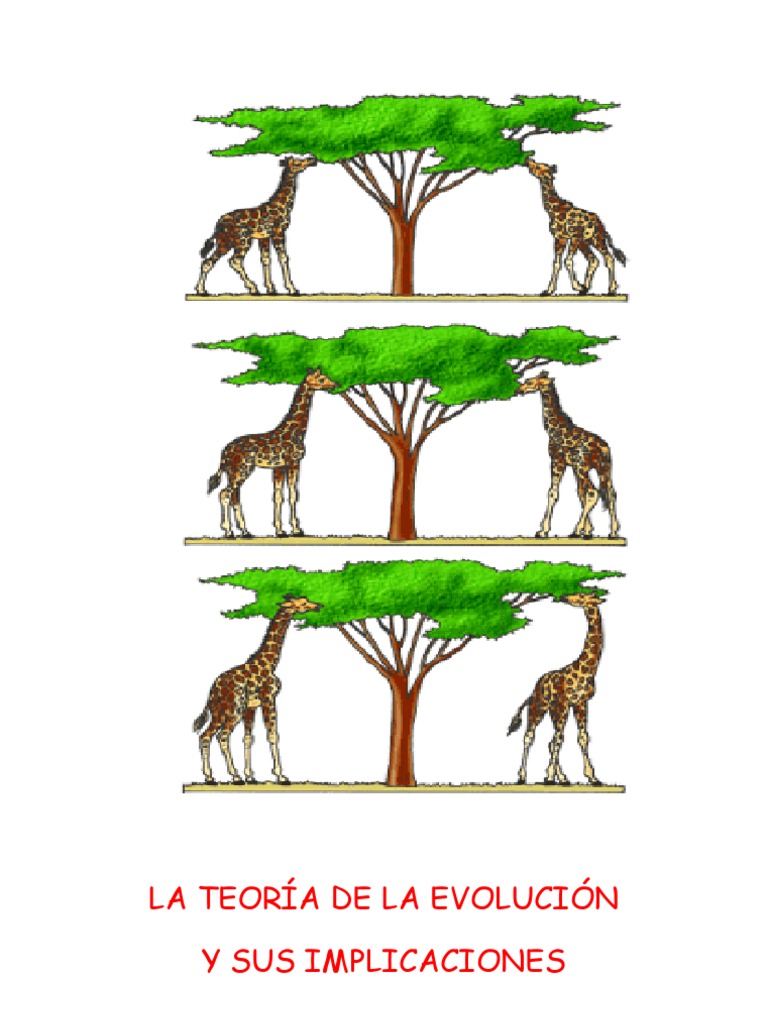 LA TEORÍA DE LA EVOLUCIÓN | Evolución | Gene