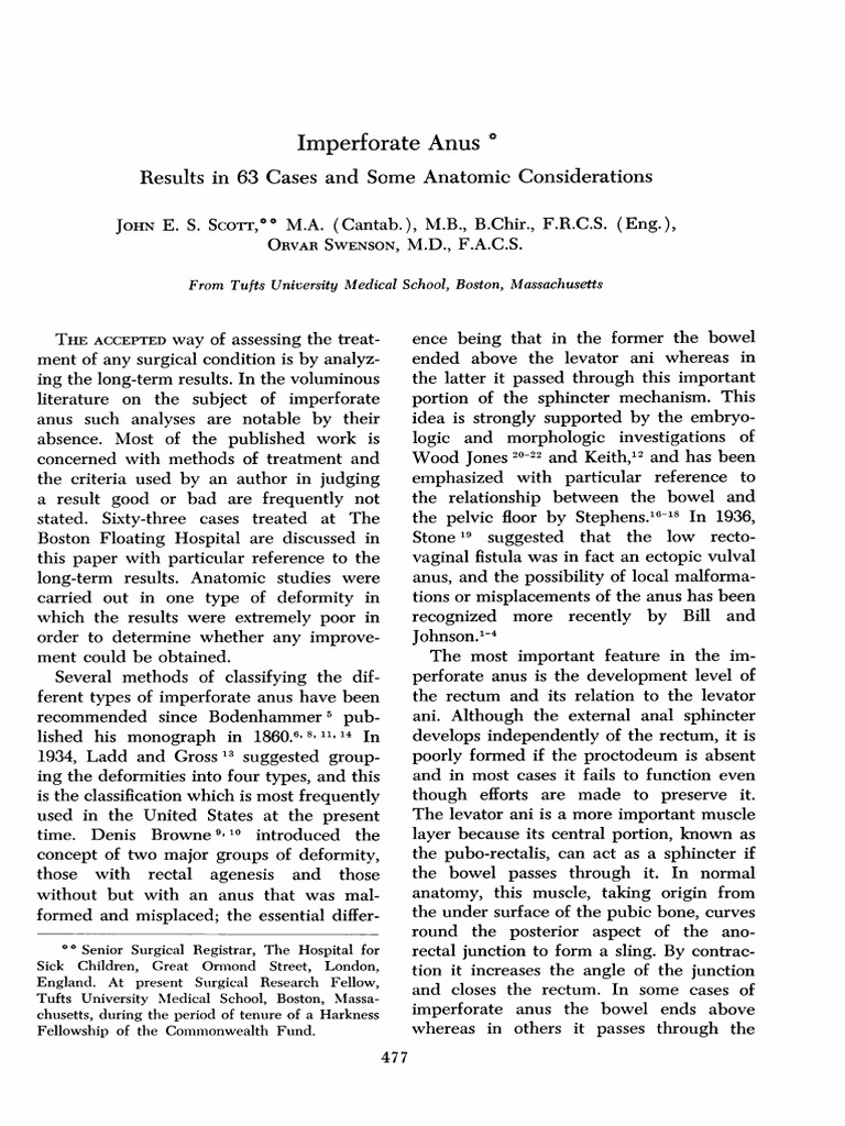 Jurnal Imperforate Anus | PDF | Rectum | Pelvis