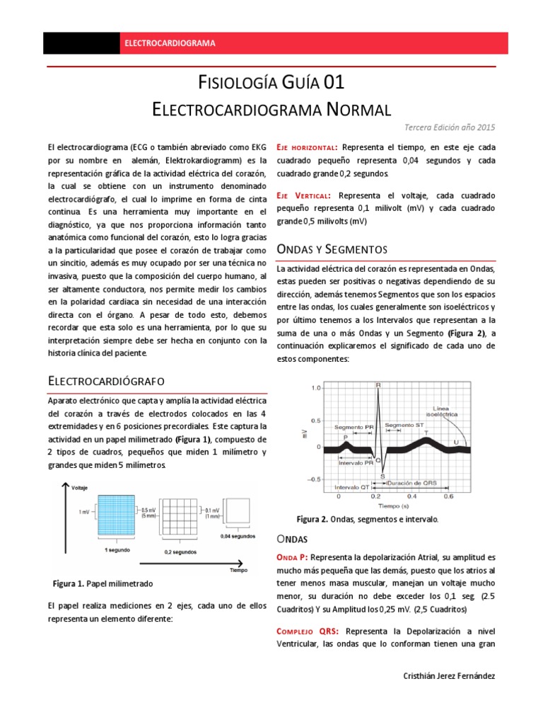 Electrocardiograma Guia 01 - Electrocardiograma Normal R | PDF ...