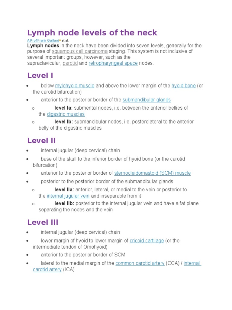 Lymph Node Levels of The Neck | PDF | Common Carotid Artery | Neck