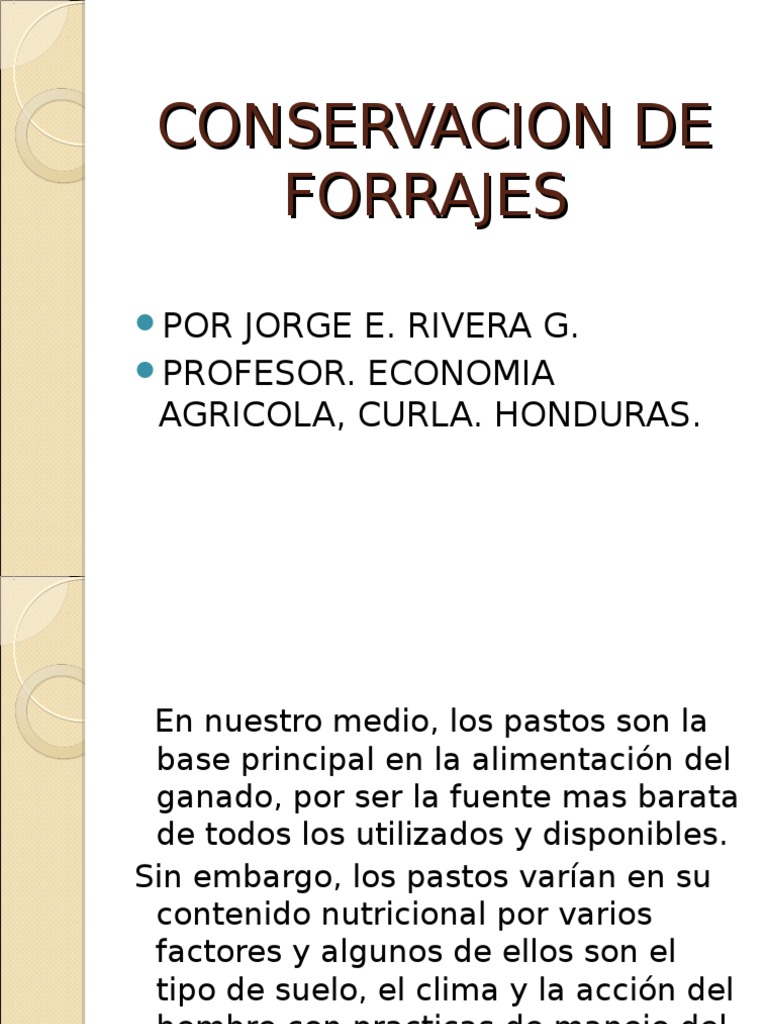 Conservacion de Forrajes | PDF | Heno | Agricultura