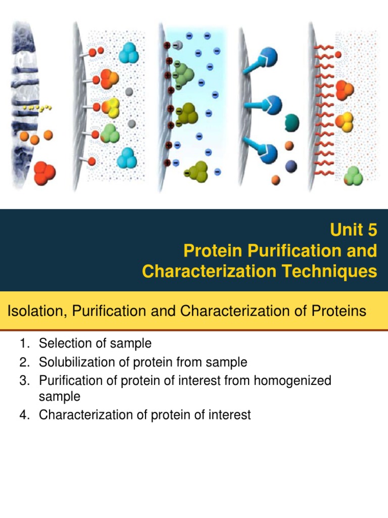 Unit 5 Protein Purification and Characterization Techniques