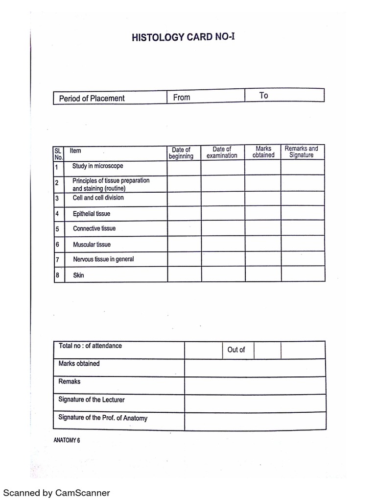 Histology Card | PDF