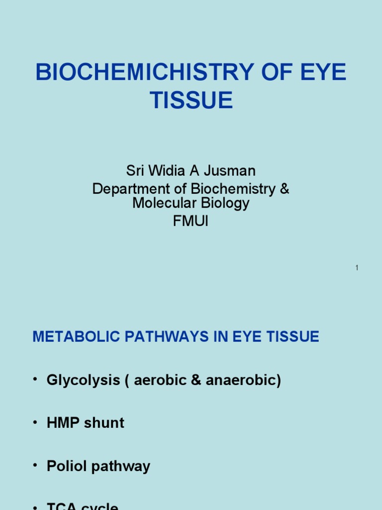 Biochemistry of the Eye | Glycolysis | Cellular Respiration