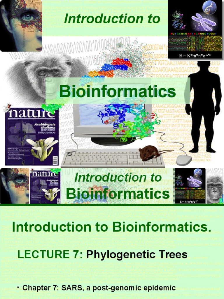 Introduction To Bioinformatics-7 | PDF | Phylogenetic Tree | Biological ...