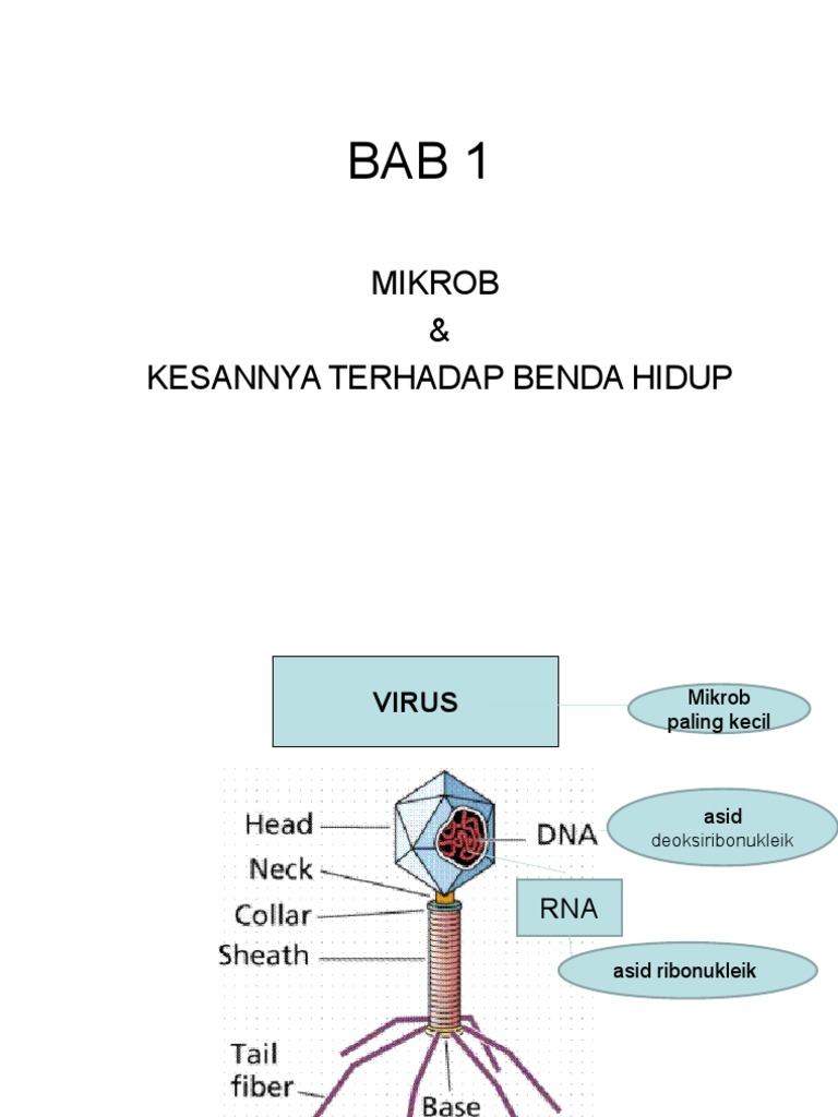 Sains Bab 1 F5 | PDF