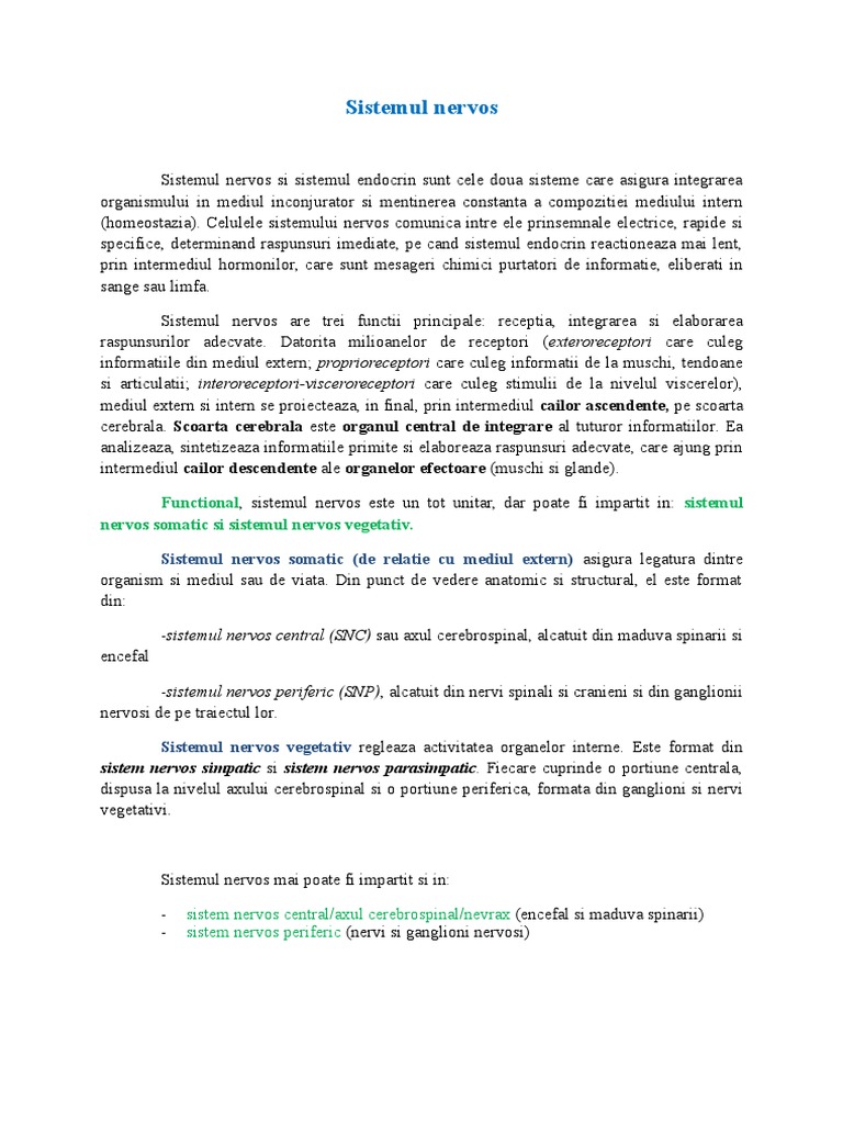 L 3 - Sistemul Nervos (Introducere, Maduva Spinarii) | PDF