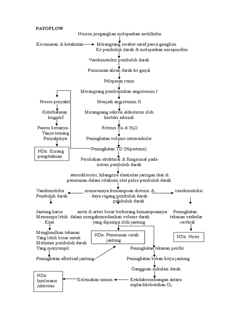 Patoflow Hipertensi | PDF