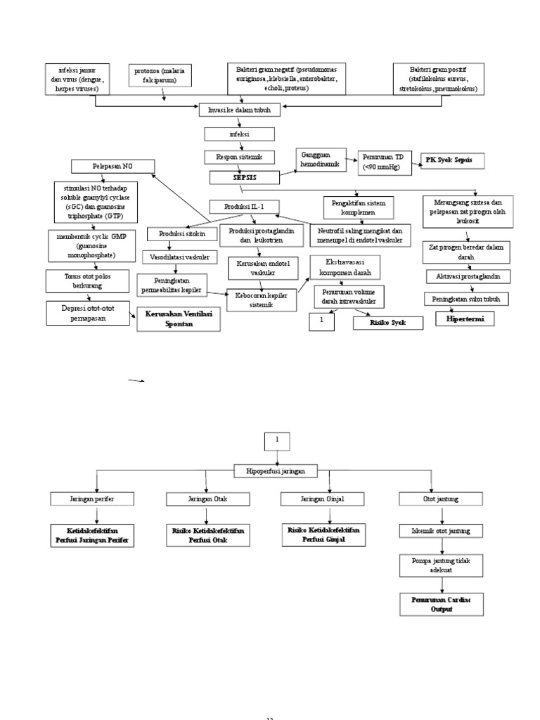 Pathway Sepsis | PDF