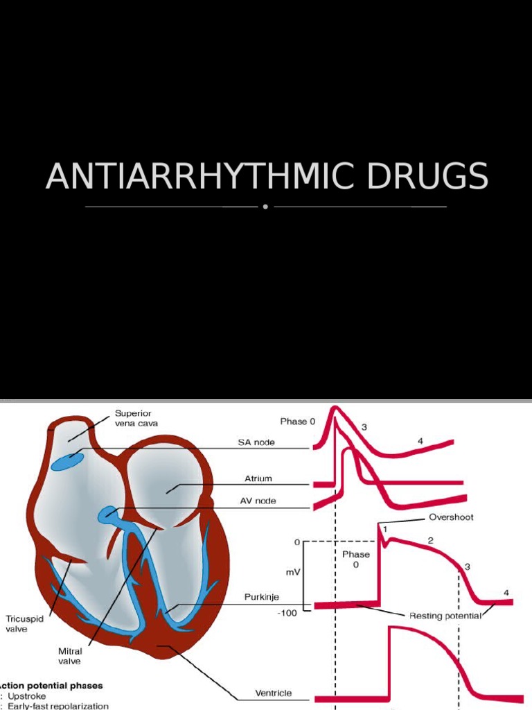 Antiarrhythmic Drugs | PDF | Cardiac Arrhythmia | Cardiovascular System