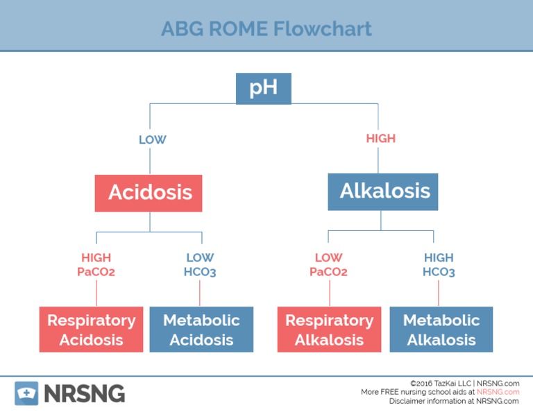 ABG ROME Flowchart | Human Diseases And Disorders | Biochemistry