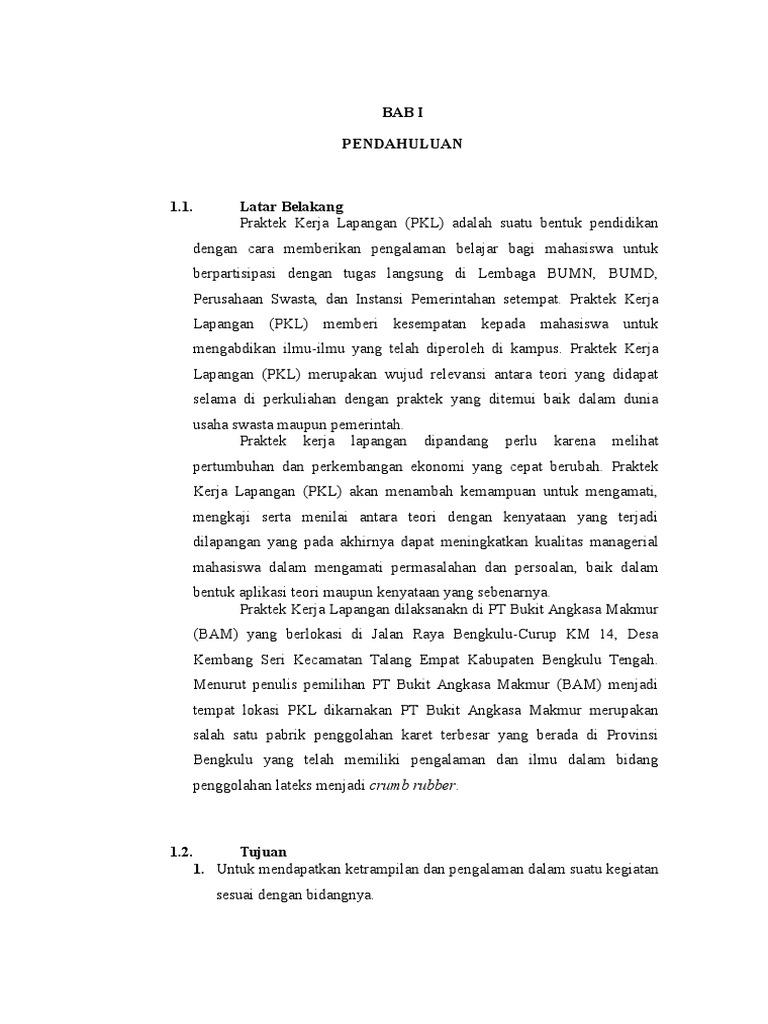 PKL Erwin Susanto Di PT - Bam | PDF