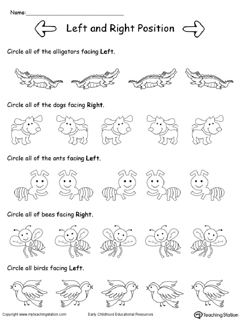 MTS Left Right Direction Animals | PDF
