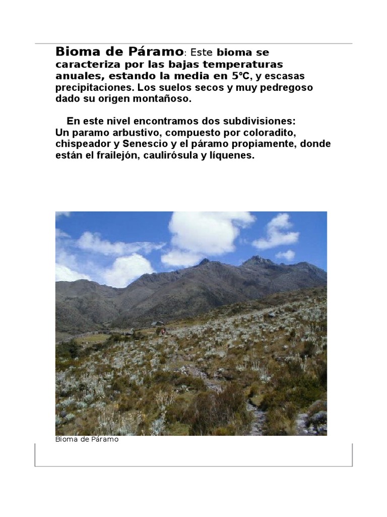 Bioma de Páramo | PDF | Selva | Earth Sciences